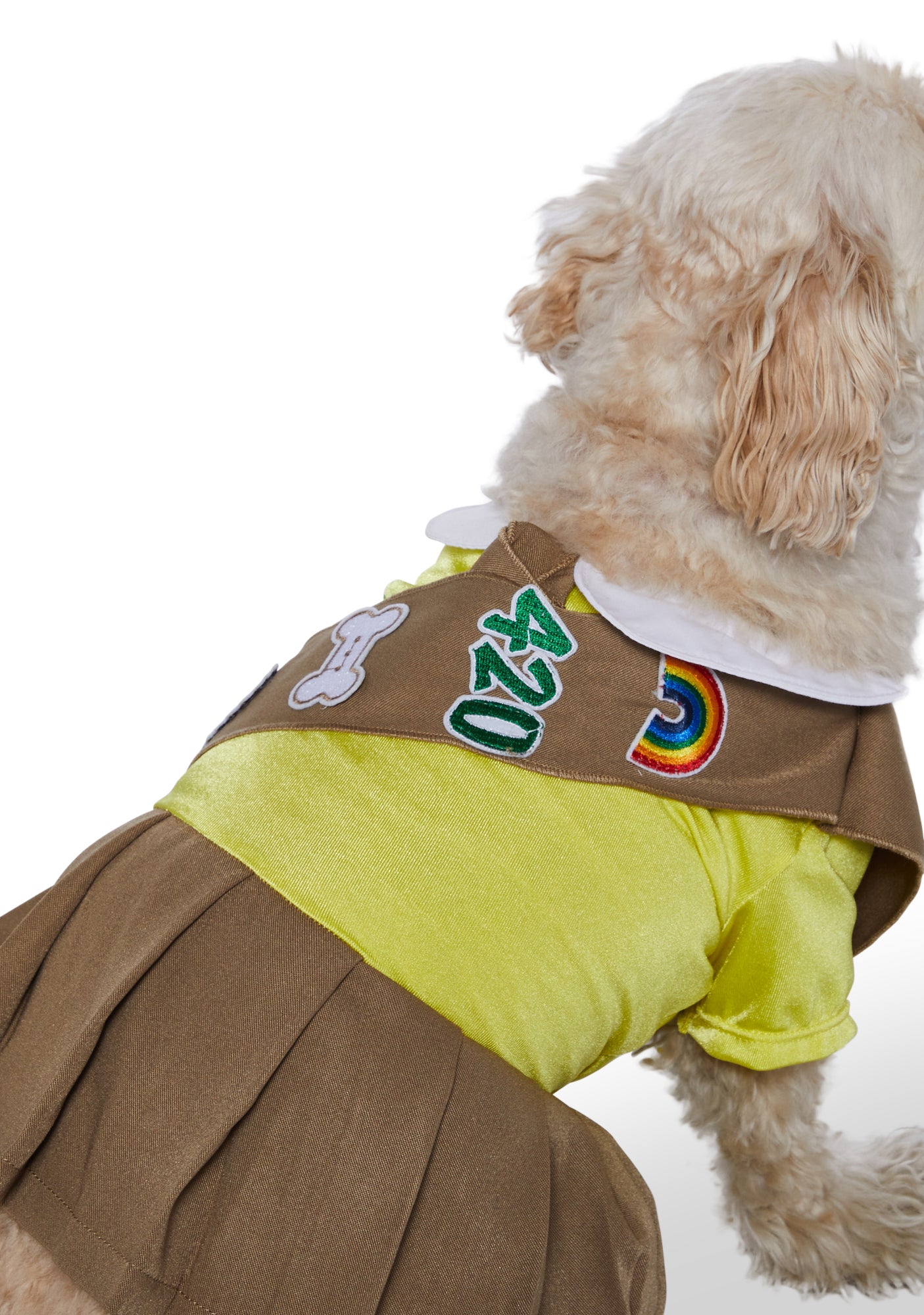 Scout The Doggie