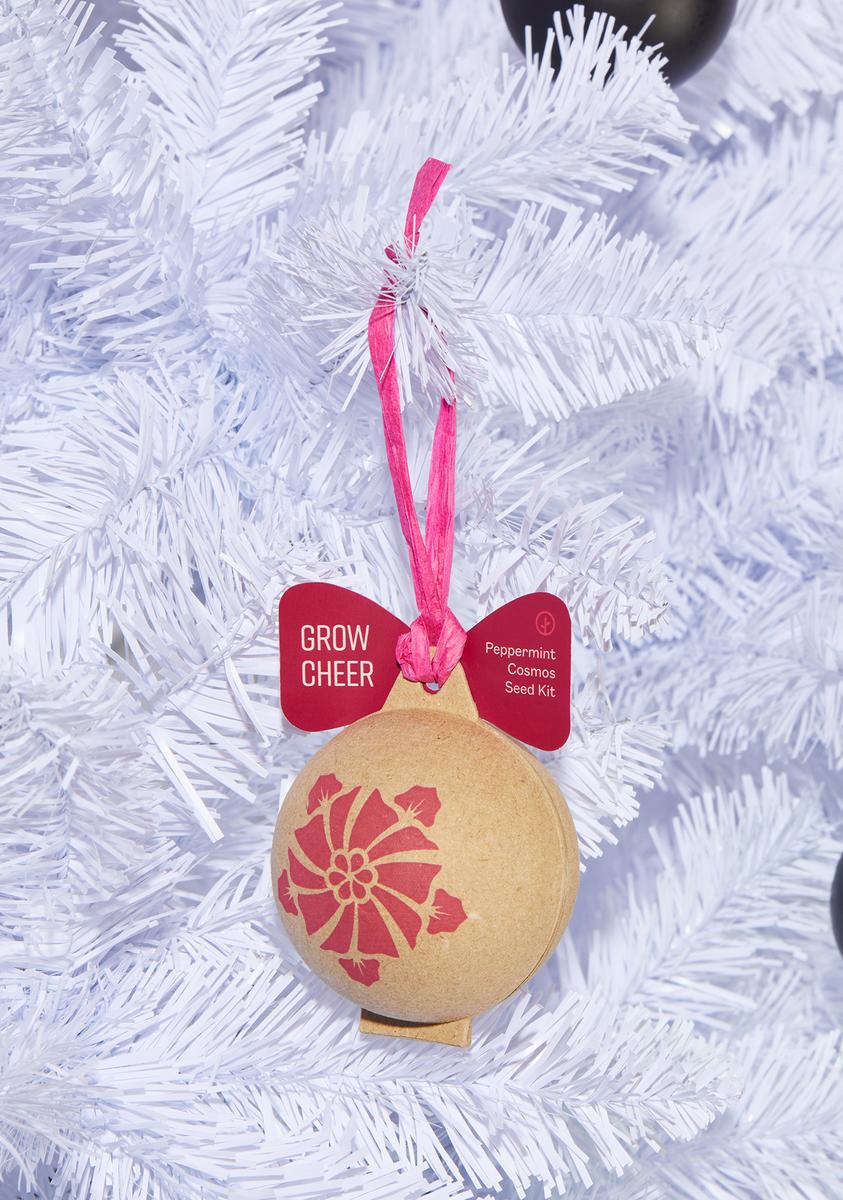 Modern Sprout Peppermint Cosmos Ornament Seed Kit – Dolls Kill