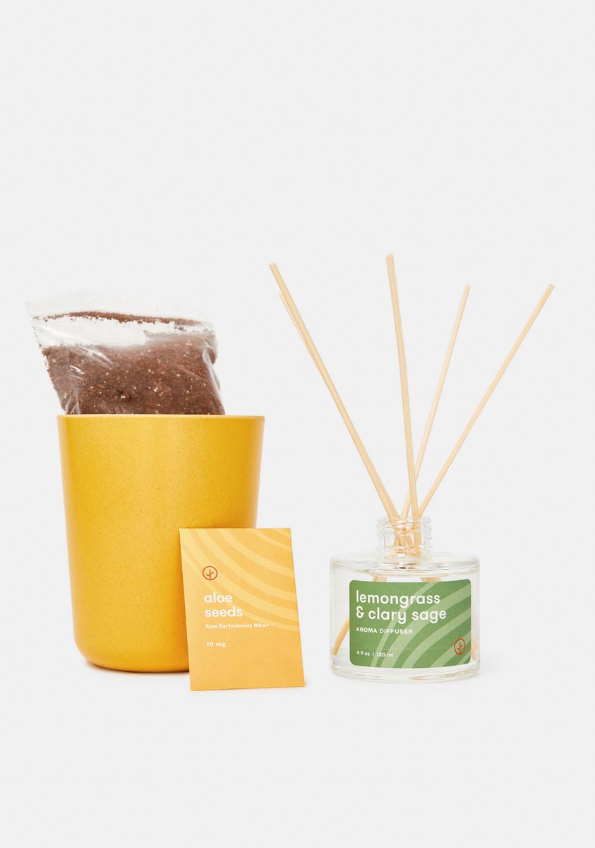 Find Balance Grounding Aloe Kit – Dolls Kill