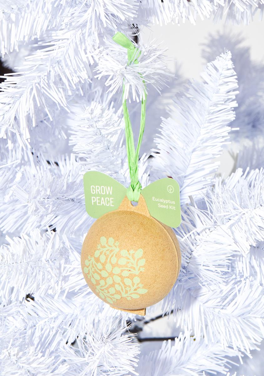 Modern Sprout Eucalyptus Ornament Seed Kit – Dolls Kill