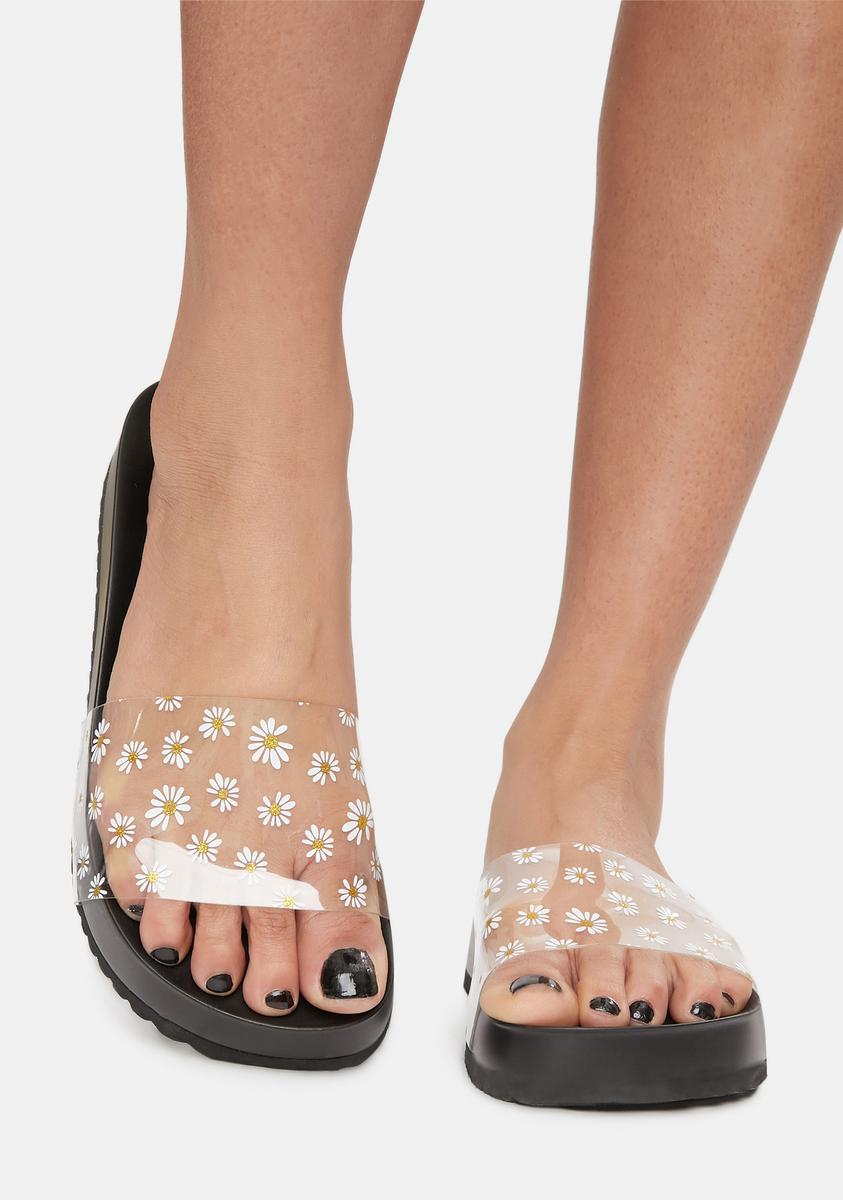 Daisy Print Clear Slides - Black – Dolls Kill