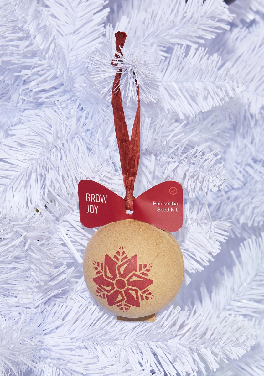 Modern Sprout Poinsettia Ornament Seed Kit – Dolls Kill
