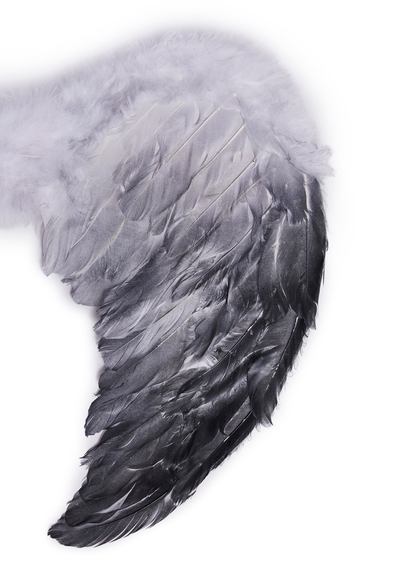 Black Angel Wings Side View